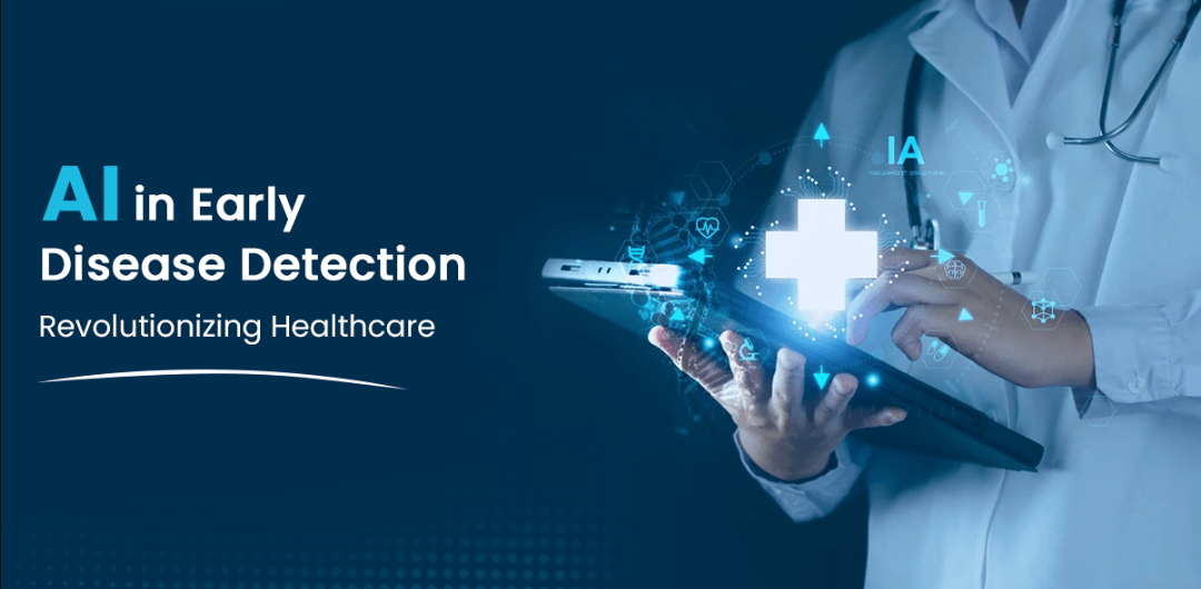 Anass EL MANSOURI's Portfolio